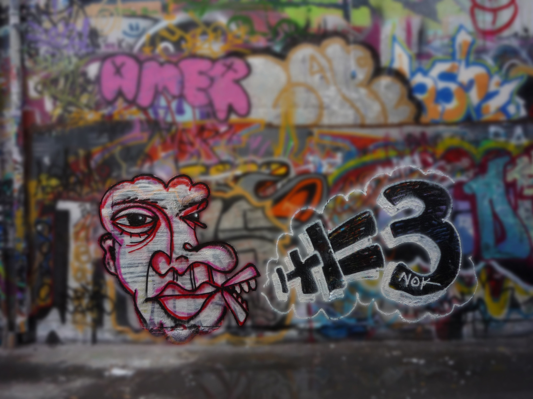 Cibus’ canola, the mysterious origin of the mutation – Inf'OGM