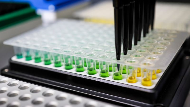 Plantes, bactéries, virus et animaux OGM: tous déréglementables ? – Inf'OGM