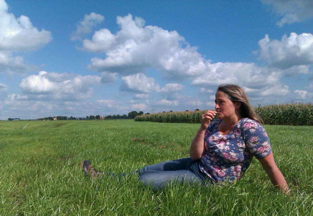 A Dutch seed company faces up to KWS patents – Inf'OGM