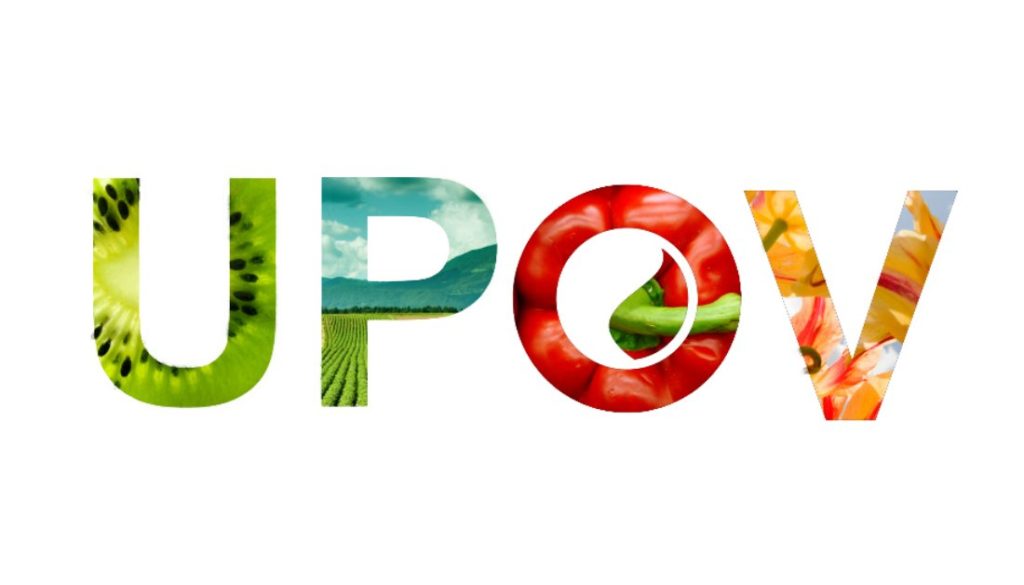 Patents and evolution of the Plant Breeders’ Rights (PBRs) – Inf'OGM