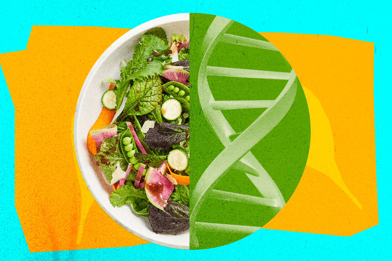 Les OGM : généralité – Inf'OGM